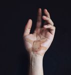 9 Health Benefits and Side Effects of Bitter Gourd