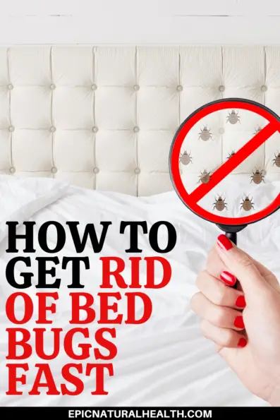 How To Get Rid Of BED BUGS Fast & Easily Yourself At Home - Epic ...