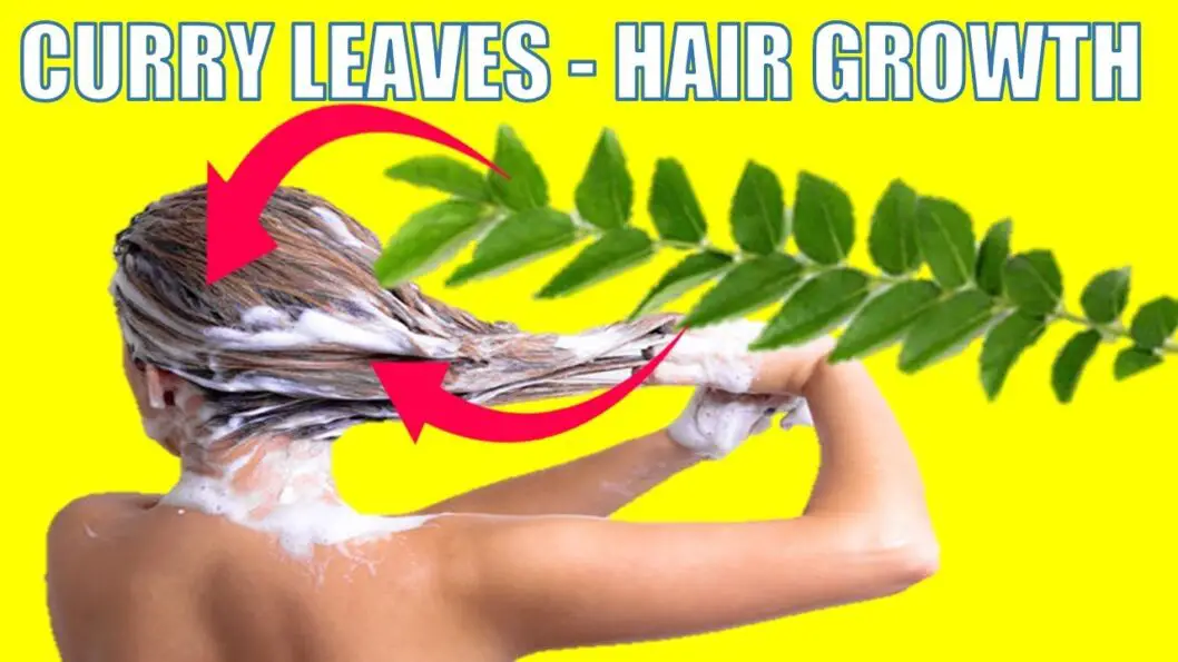 How To Use Curry Leaves For Exceptional Hair Growth