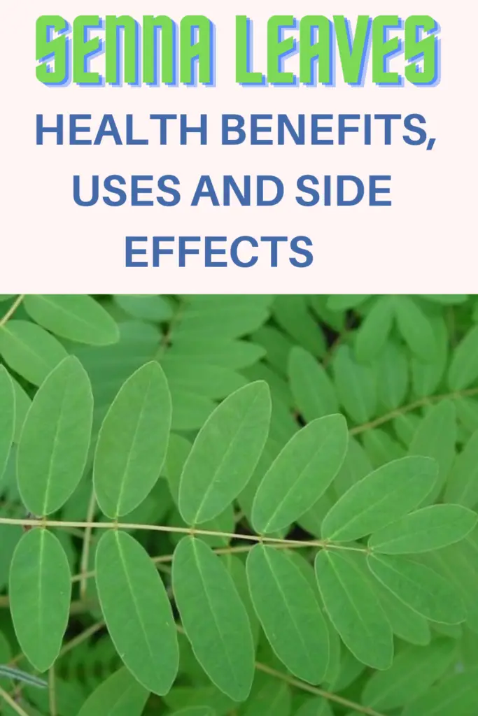 Medical Senna Leaves Health Benefits, Uses and Side Effects - Epic ...