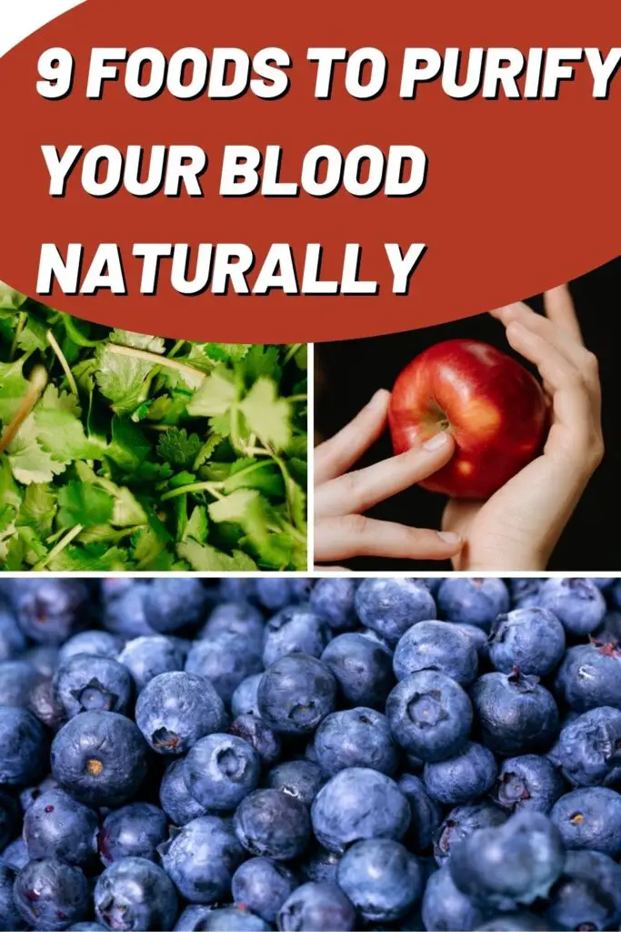 Top 9 Foods To PURIFY YOUR BLOOD Naturally